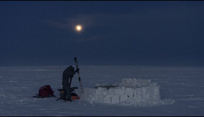 Arctic Adventure – A journey to Vaygach Island - battleface