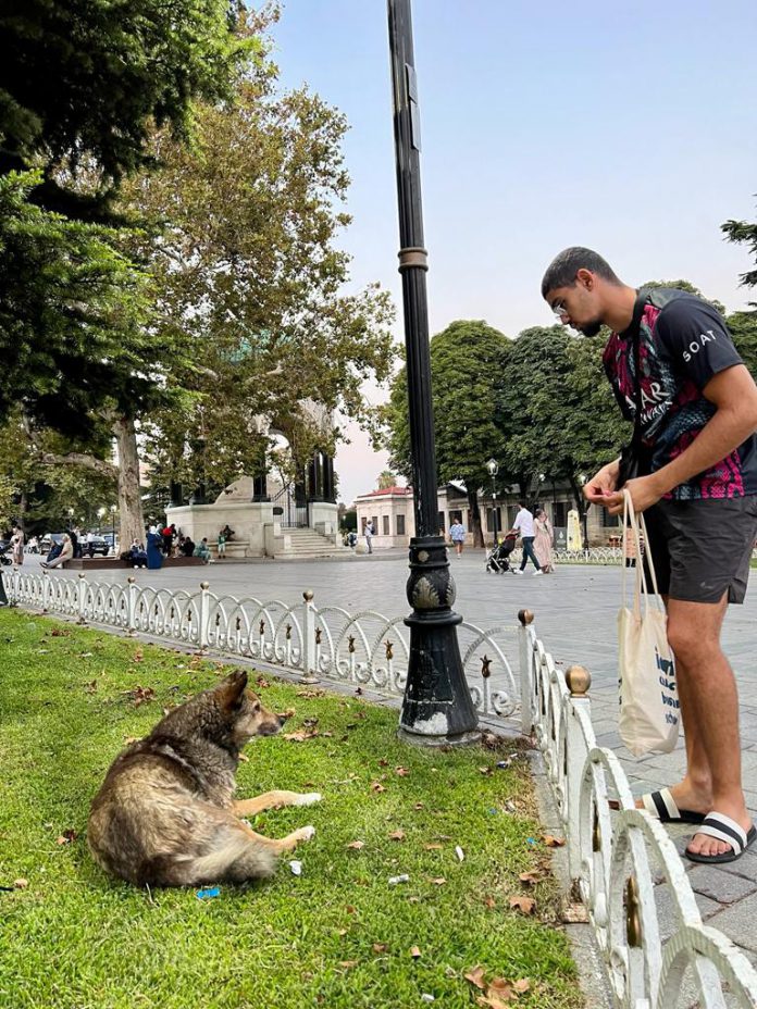 The Stray Dogs of Istanbul - battleface